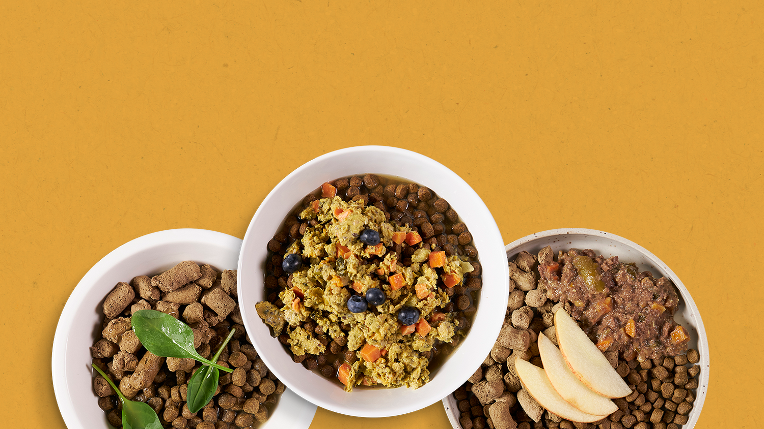 Custom Made Dog Food Bowls | Open Farm