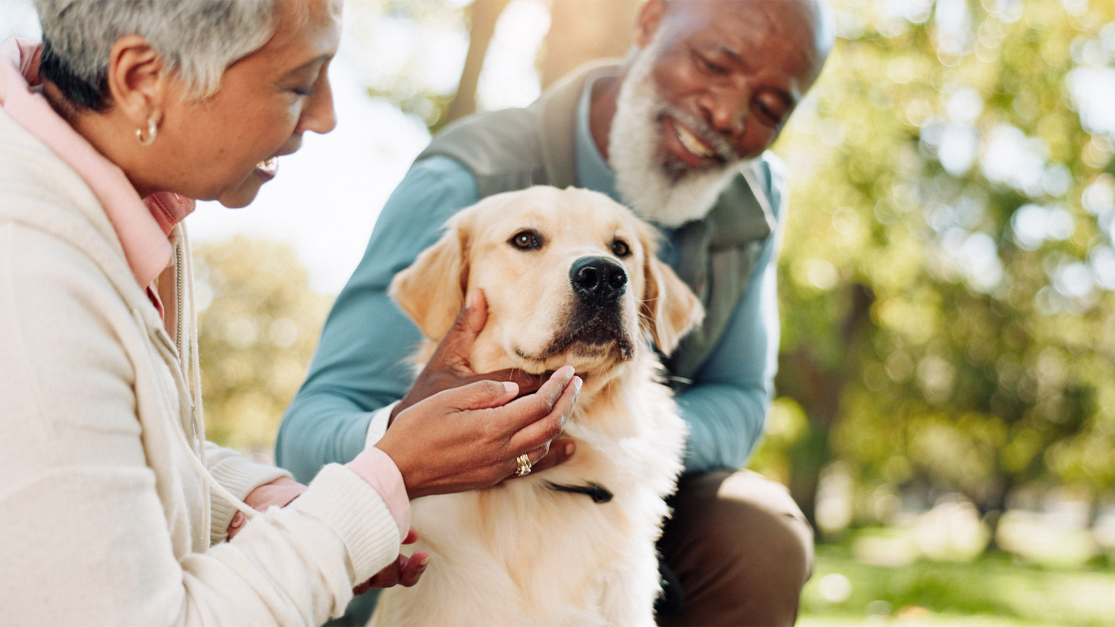 Do Dogs Need Vitamins? | Open Farm