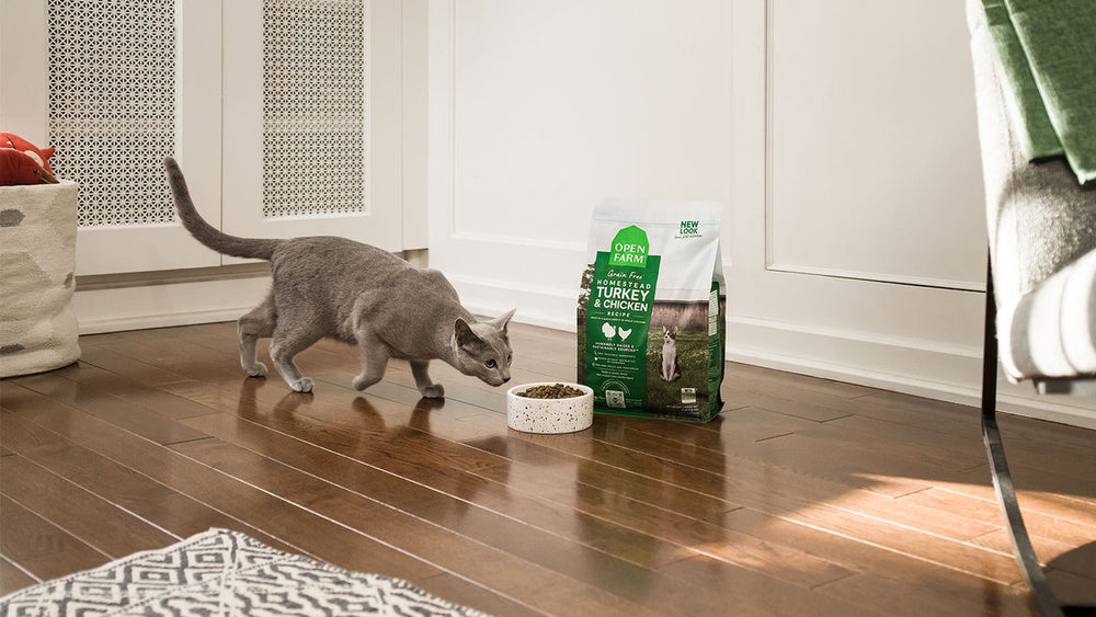 All Cat Food – Open Farm