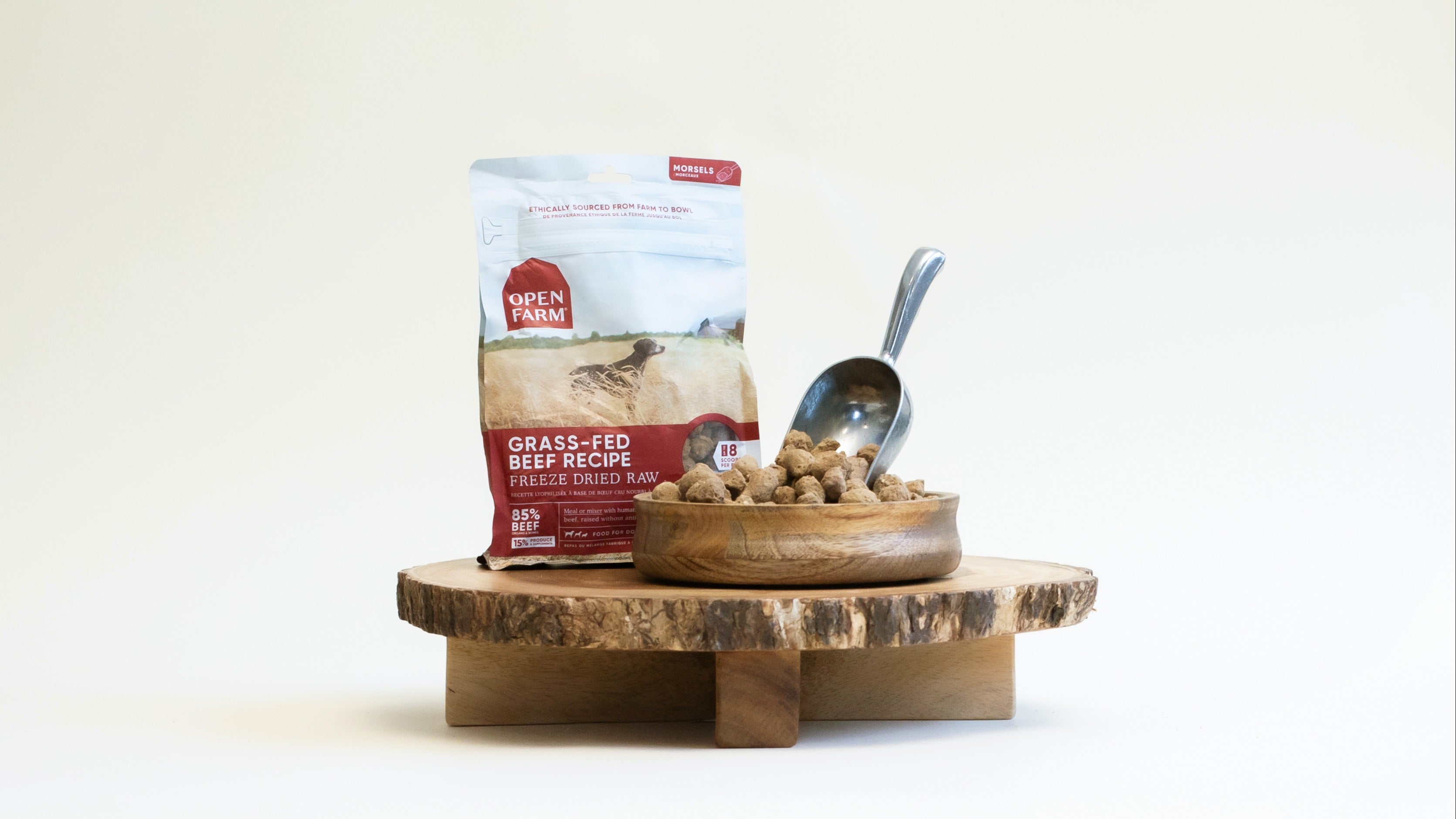 What to Look for in Dog Food Ingredients | Open Farm