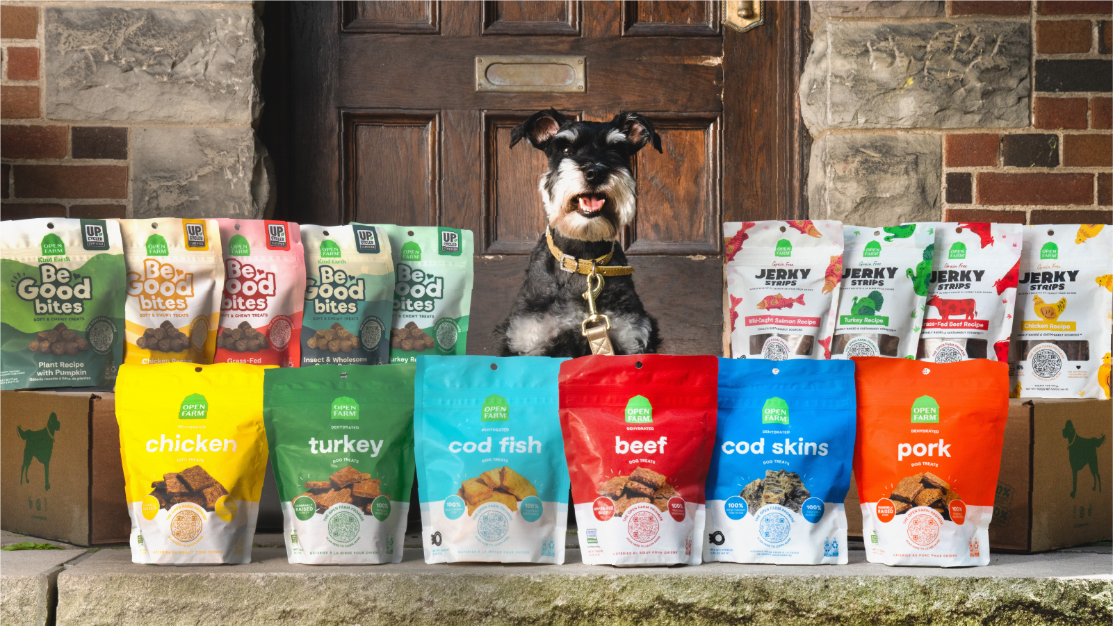 The Ultimate Guide to Irresistible Dog Treats | Open Farm