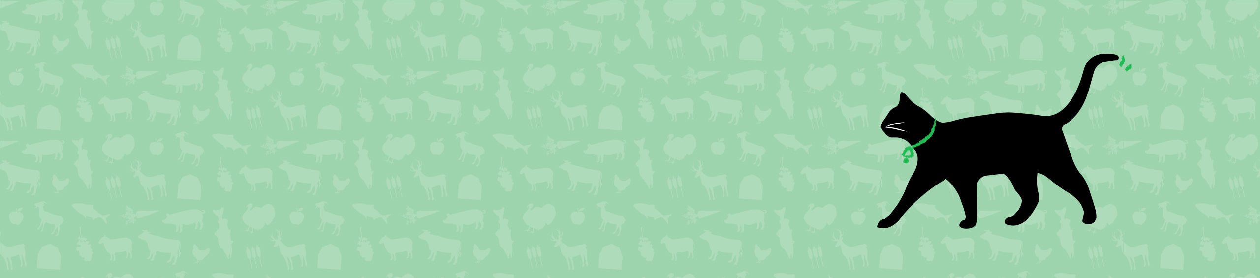 Cat Food Bundles and Variety Packs | Open Farm