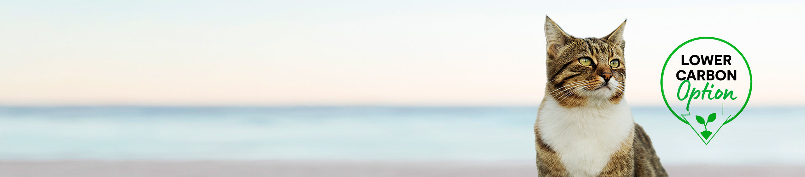 Lower Carbon Options for Cats – Open Farm