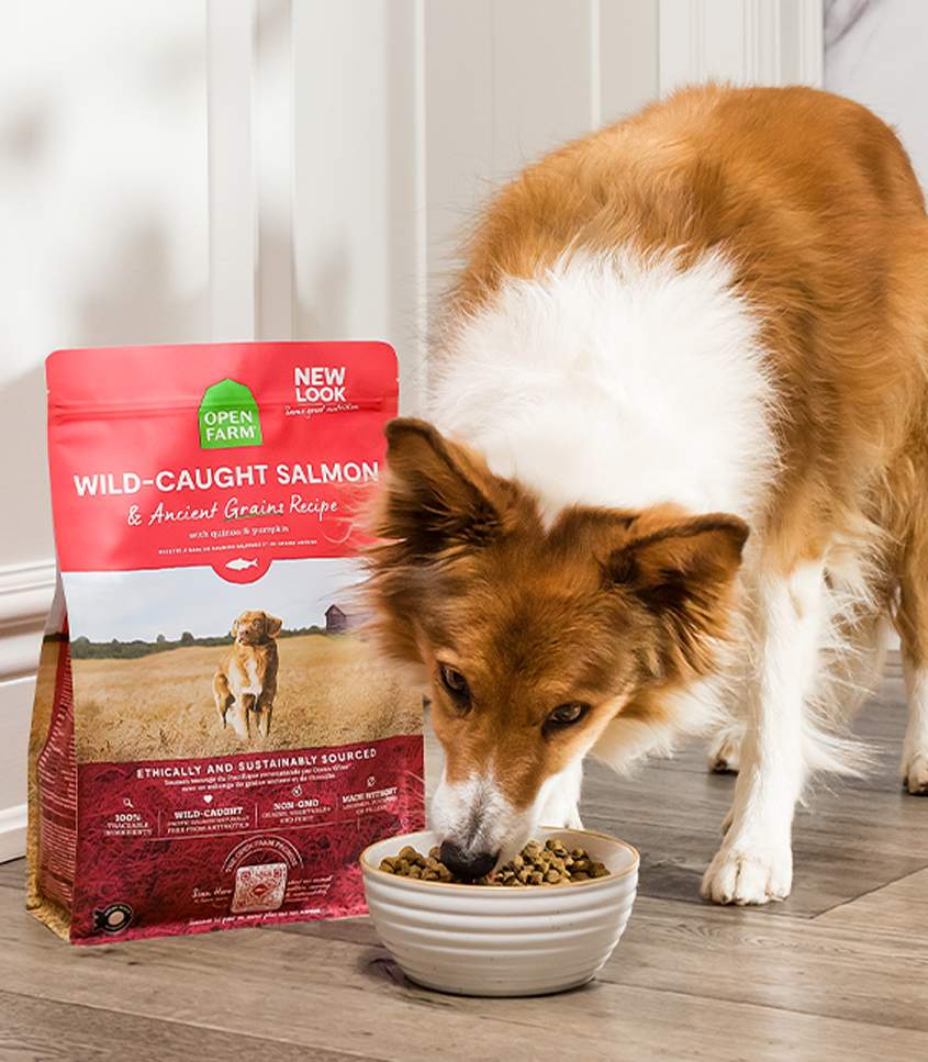 About Open Farm Pet Food | Open Farm