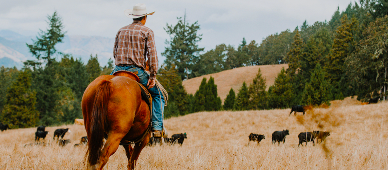 Ethically Sourced Dog and Cat Food | Open Farm