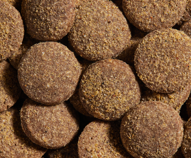 Turkey Dog Biscuits with Oatmeal - Open Farm