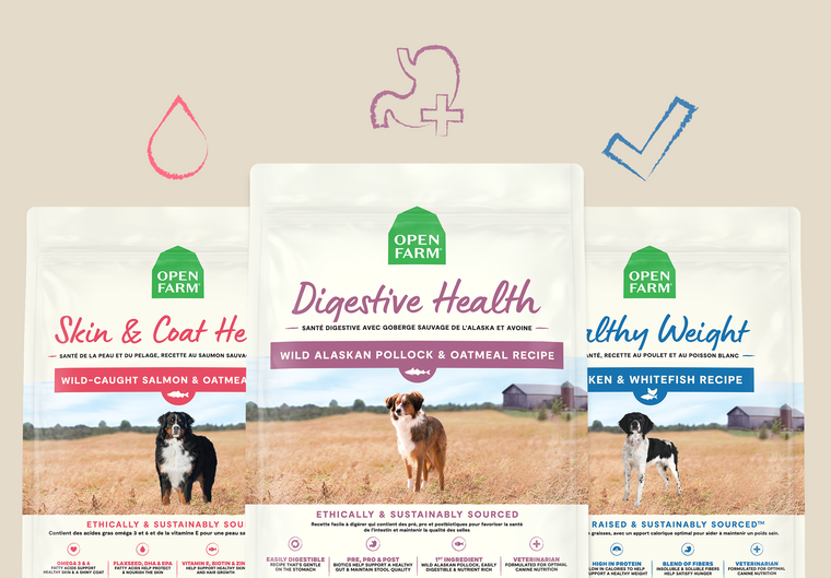 Healthy Kibble and Dry Dog Food | Open Farm