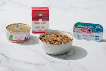 All Cat Food | Freeze Dried Raw Cat Food | Open Farm