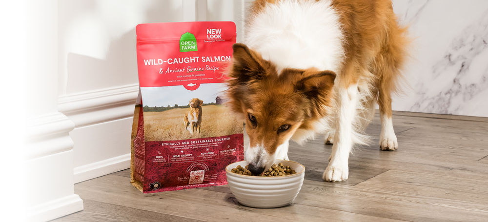 Ancient Grains Dry Dog Food - Grain Inclusive Dog Food - Open Farm