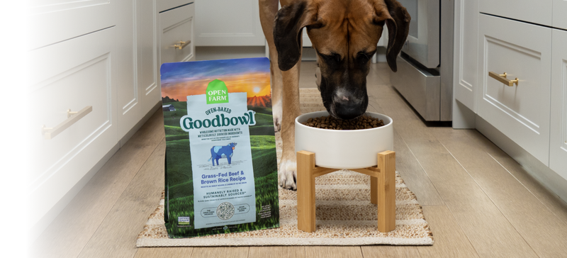 Goodbowl Dog Kibble – Open Farm
