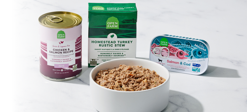 Wet Dog Food – Open Farm