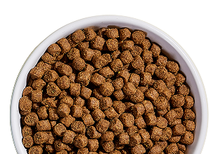 Ancient Grains Dry Dog Food - Grain Inclusive Dog Food - Open Farm