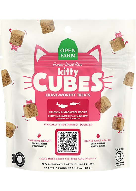 Salmon & Mackerel Kitty Cube Treats – Open Farm