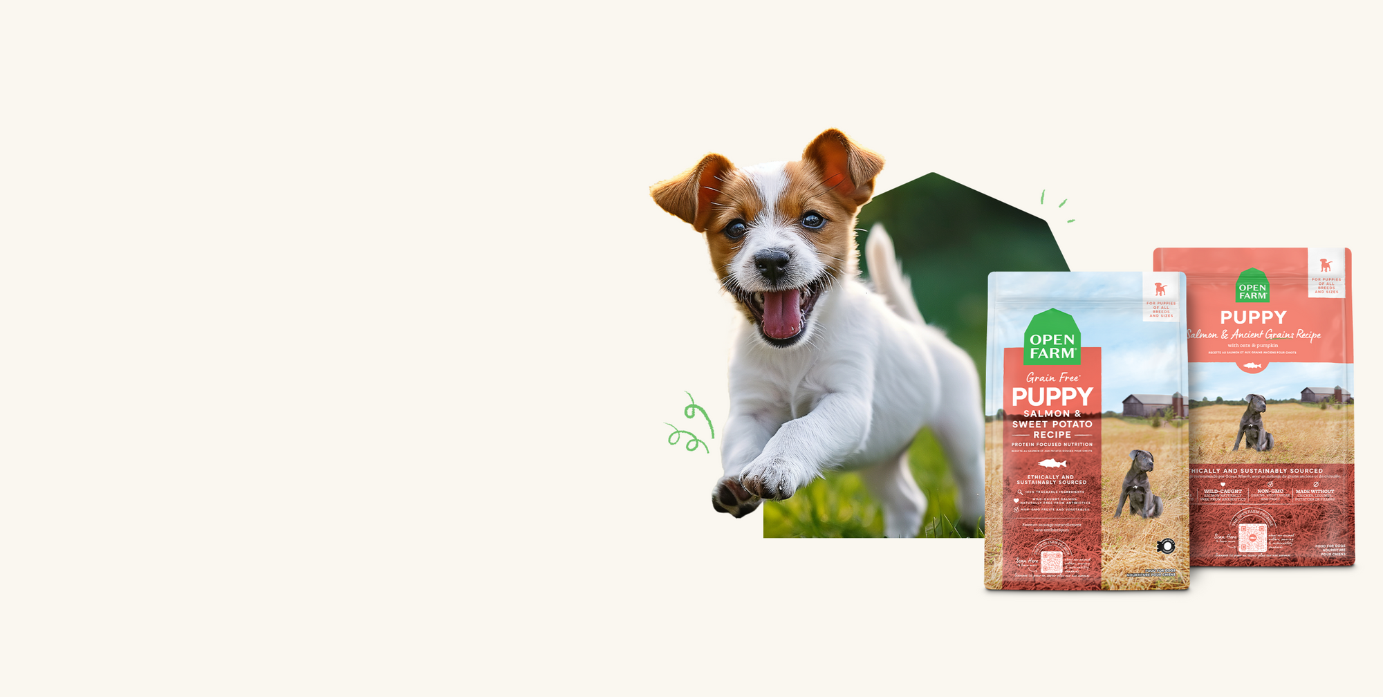 Ethically Sourced and Humanely Raised Dog & Cat Food | Open Farm