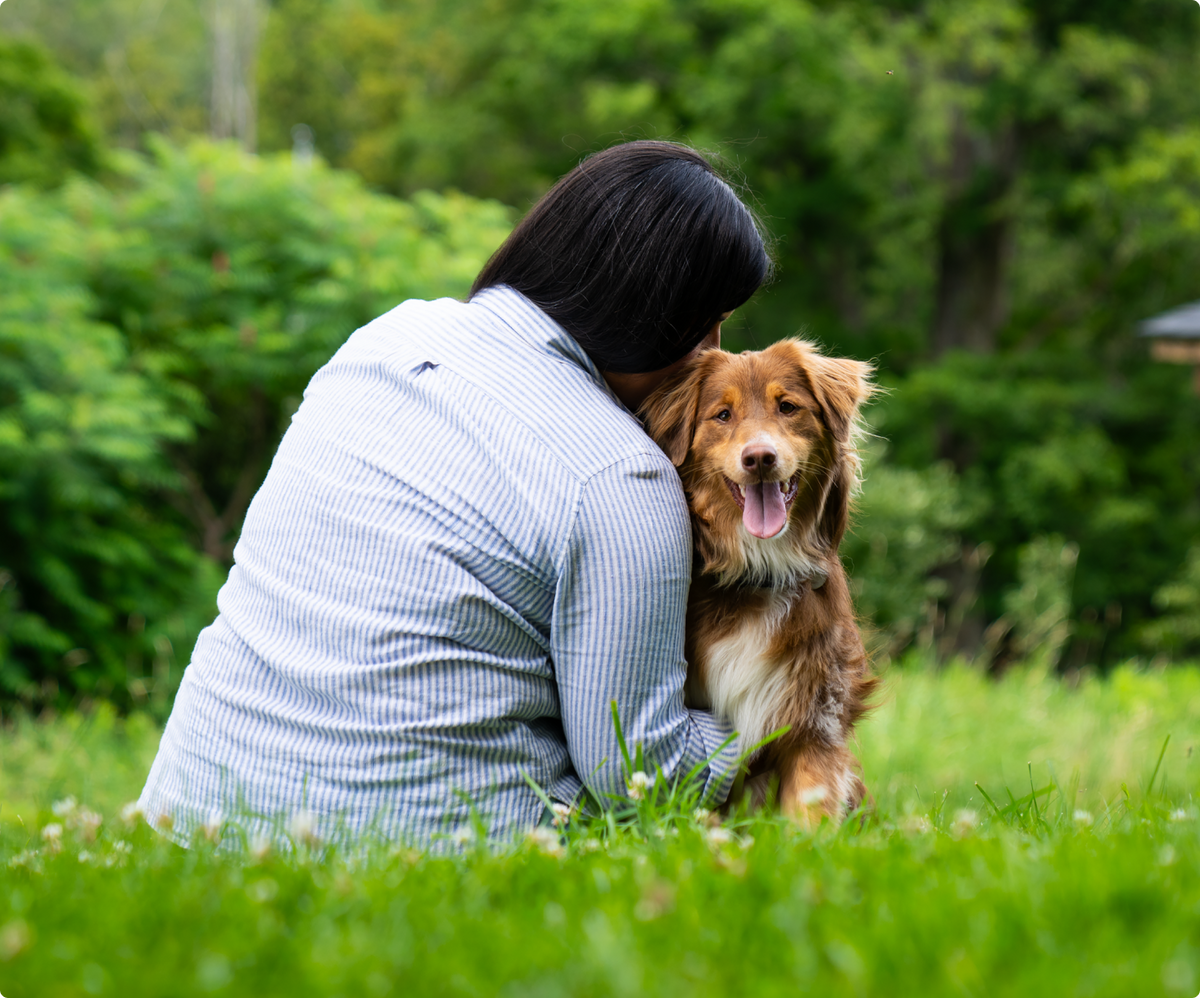 RawMix Large Breed Dog Food with Ancient Grains - Open Farm