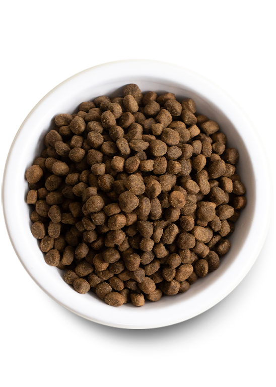 New Zealand Venison Dog Food with Ancient Grains - Open Farm