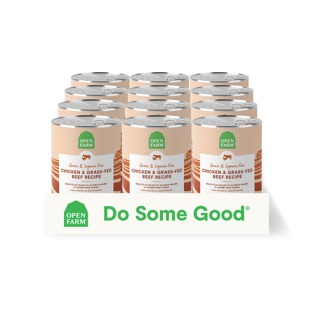 Chicken & Grass-Fed Beef Paté Recipe for Dogs - Open Farm