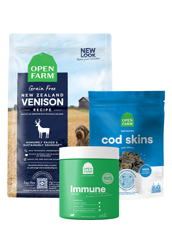 Sensitive Solutions for Dogs | Open Farm