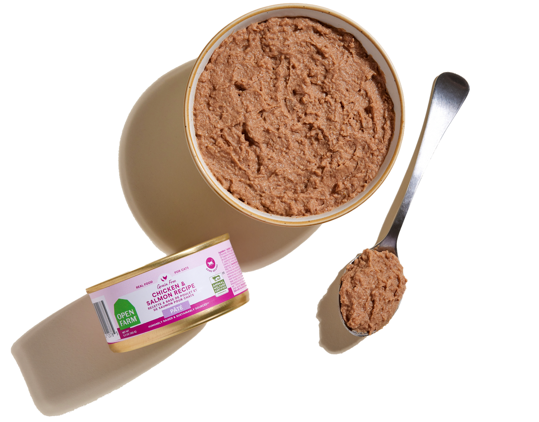 Chicken & Salmon Paté Recipe for Cats - Open Farm