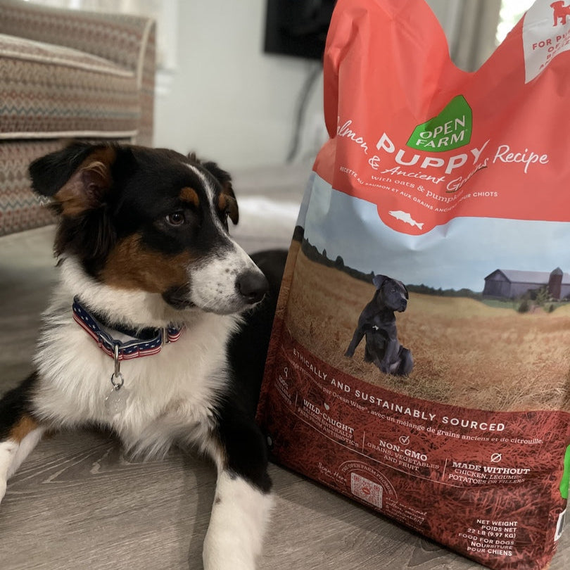Ethically Sourced and Humanely Raised Dog & Cat Food | Open Farm