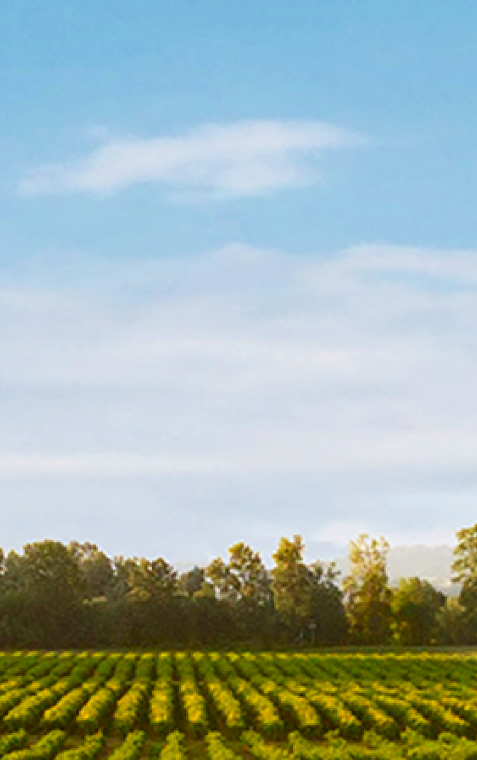 Customer Onboarding Landing Page – Open Farm
