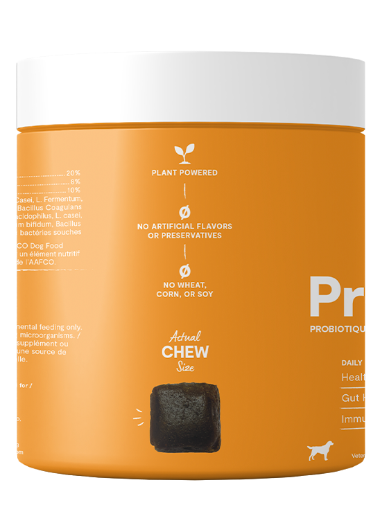 Dog Probiotics - Probiotic Chews for Dogs - Open Farm