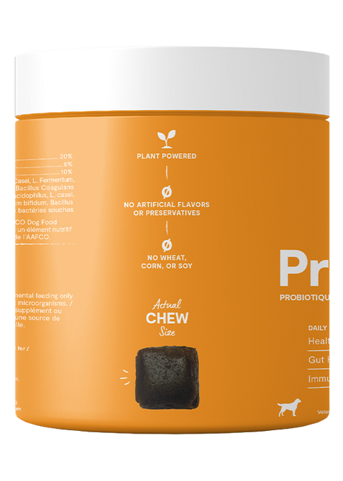 Dog Probiotics - Probiotic Chews for Dogs - Open Farm